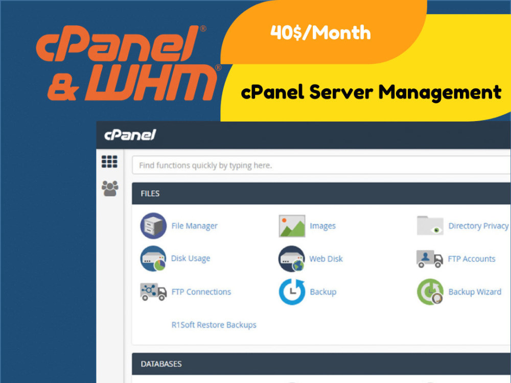 Cpanel Server Management for a month | Upwork