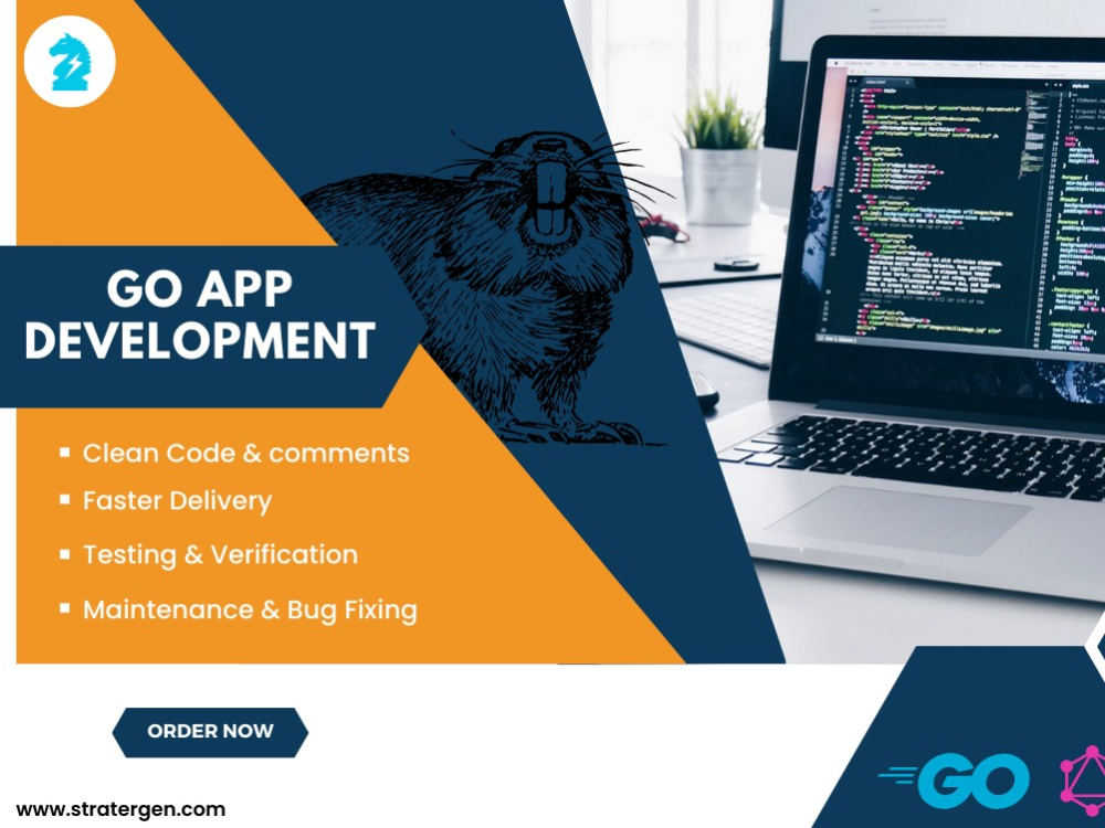 Fast Golang REST API | Upwork