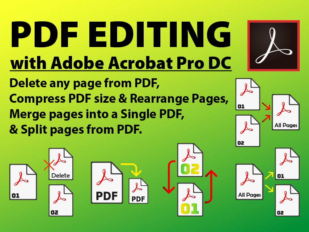 Editable PDF form or convert your file to a fillable PDF | Upwork
