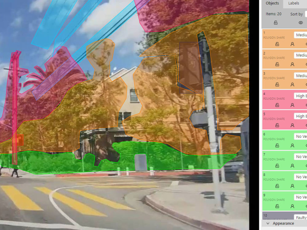 Annotation, Bounding Boxes, Polygons, Tagging, and Segmentation | Upwork