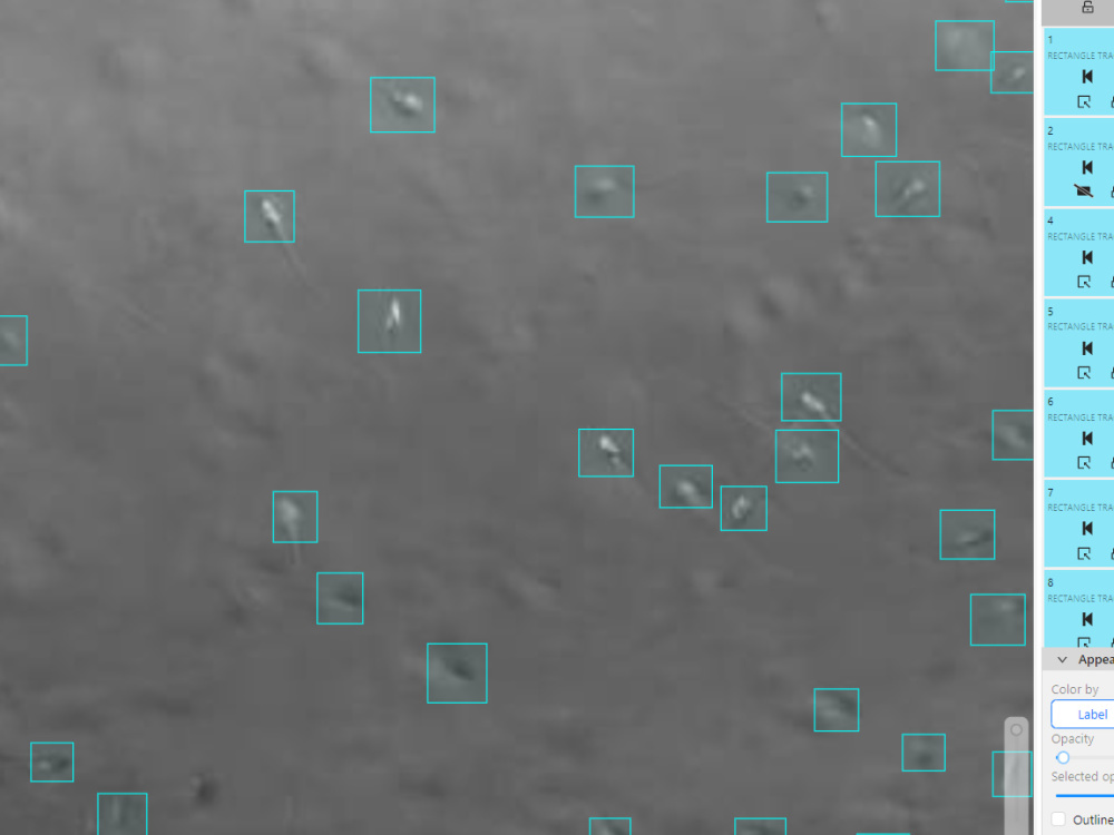 Annotation, Bounding Boxes, Polygons, Tagging, and Segmentation | Upwork