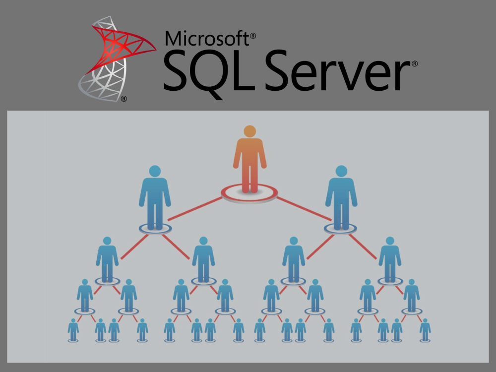 Self-Referencing Hierarchy Stored Procedure in SQL Server | Upwork