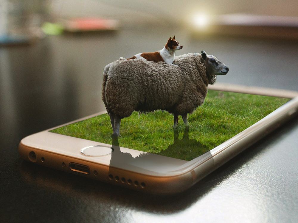 Skilled Graphic Design & 3D Pop-Out Manipulation | Upwork