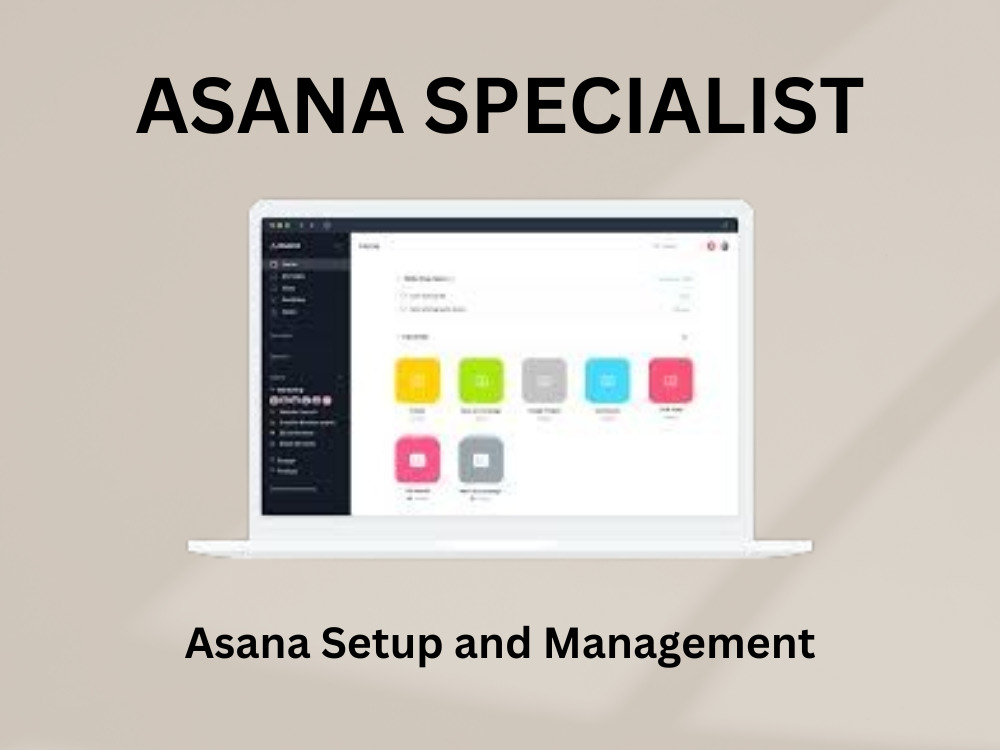 Expert Asana Setup and Management | Upwork