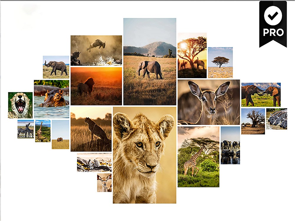 Group family photo editing and photo collage | Upwork