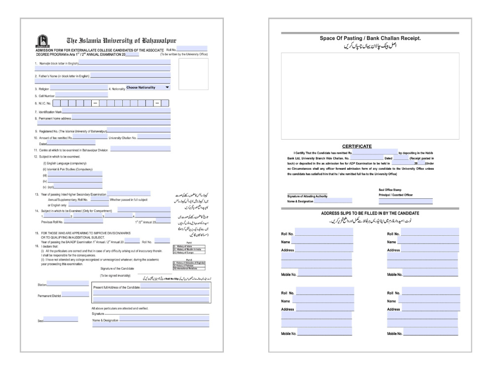 Professional Fillable PDF Form | Upwork
