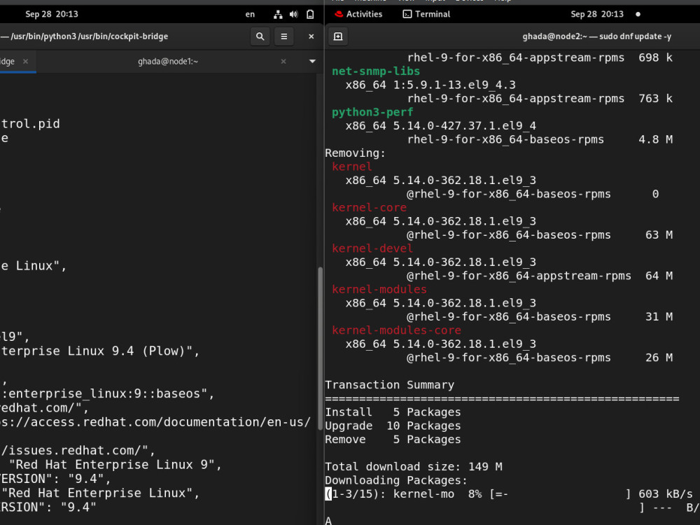 Expert Linux Server Setup & Performance Optimization | Upwork