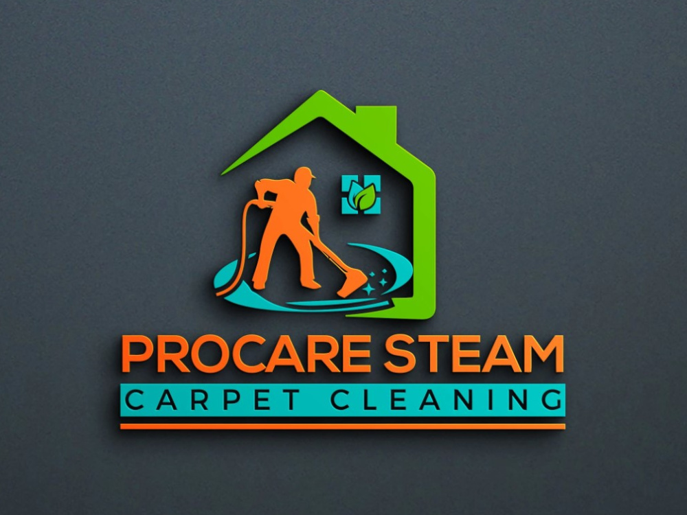 Steam Cleaner Logo Hand Steam Cleaner Icon. Flat Illustration Of Hand
