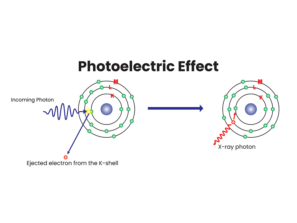 Science figures, flow charts, tables, diagrams, Illustration ...