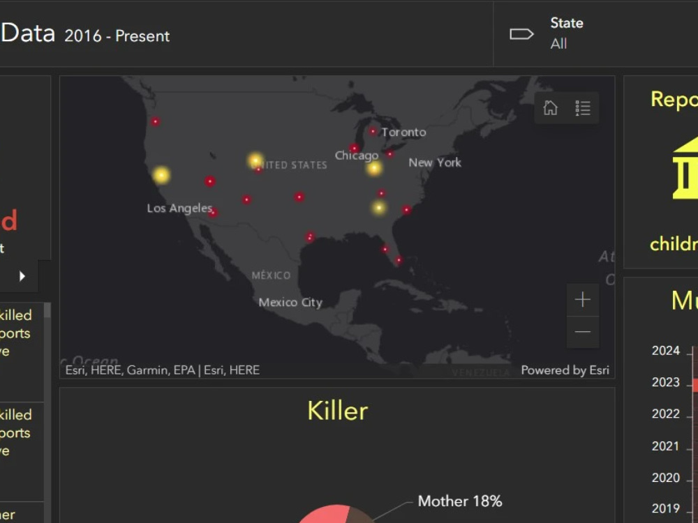 Interactive GIS Map or GIS Dashboard | Upwork