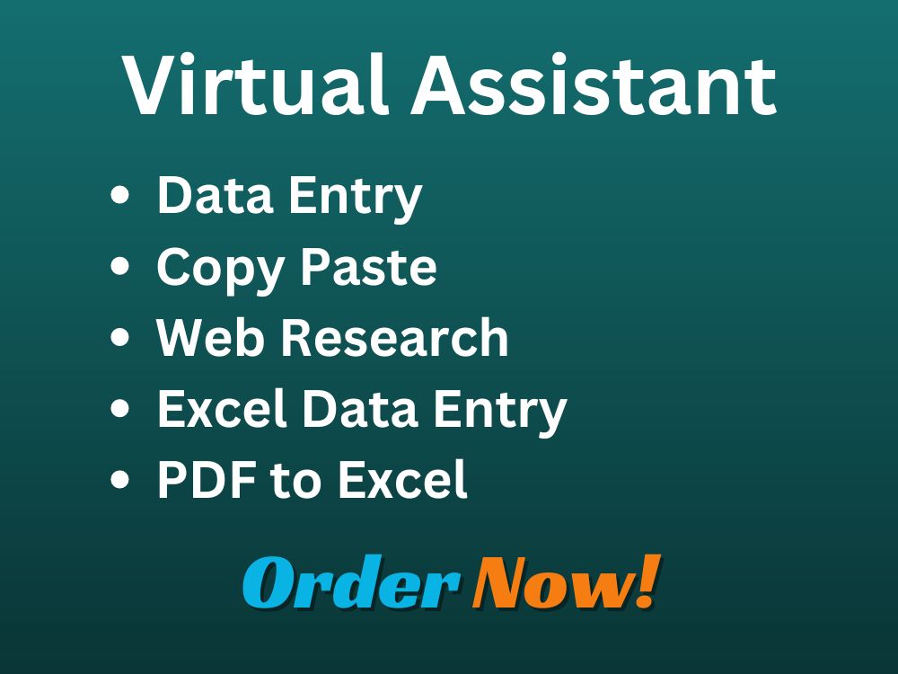 A virtual assistant for data entry tasks, web research, pdf to excel ...