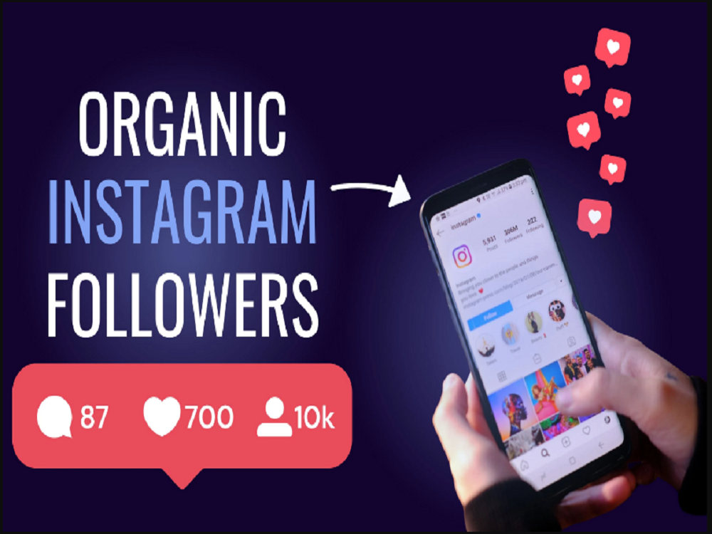Instagram Marketing, Grow Instagram Instagram Growth Expert | Upwork