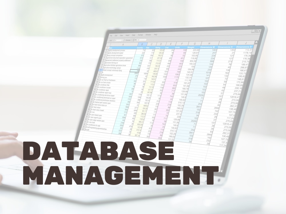 Organized Excel spreadsheets or a custom dynamic dashboard. | Upwork