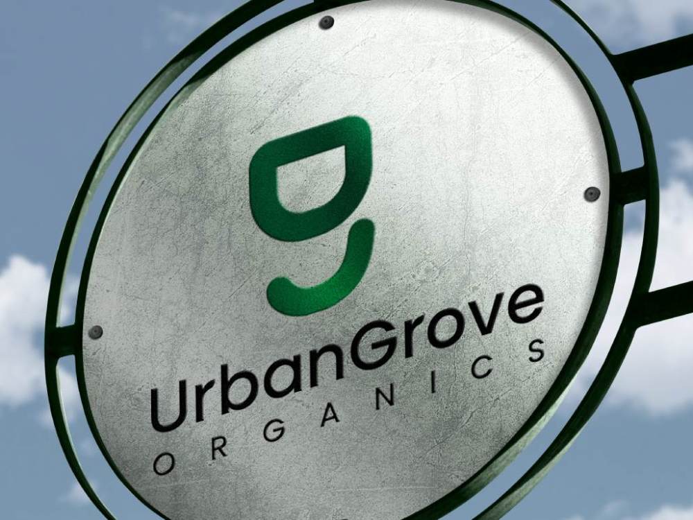 A Modern, Custom Logo Design & Branding | Upwork