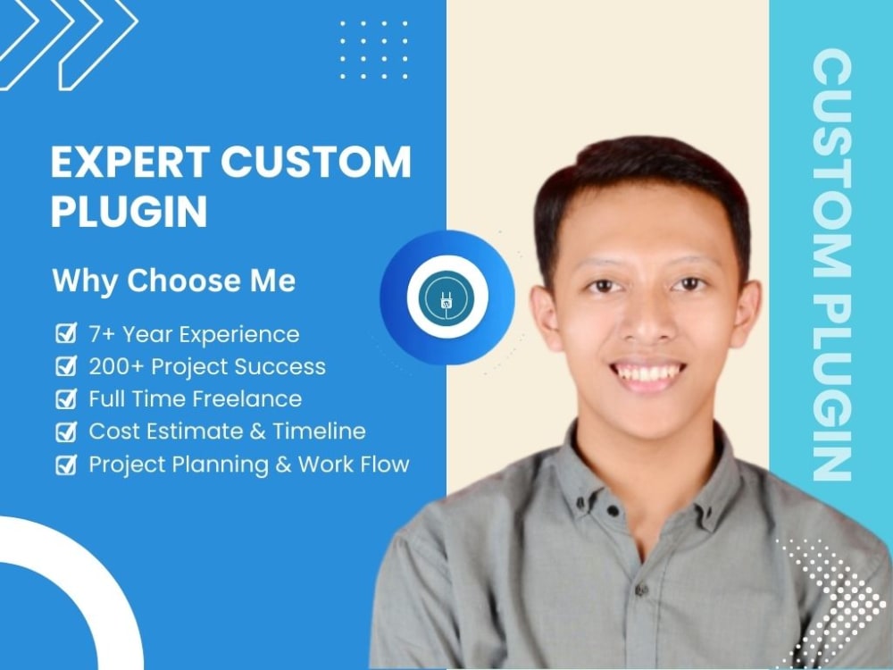 A Expert Custom Plugin Upwork