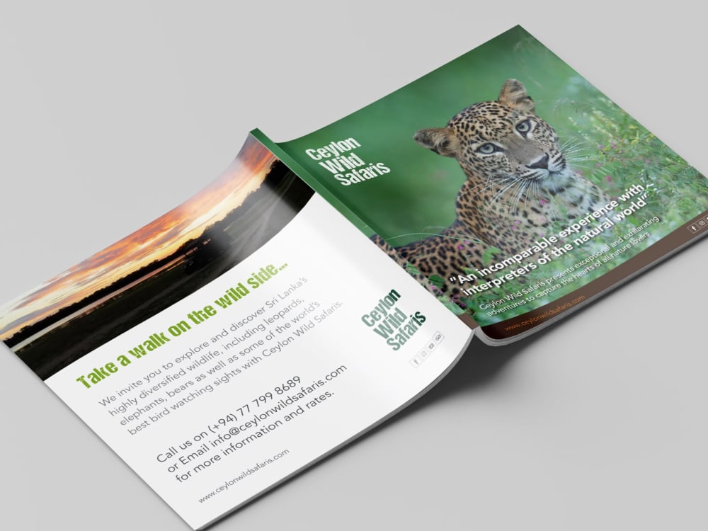 Professional book design, layout, and typesetting formatting | Upwork