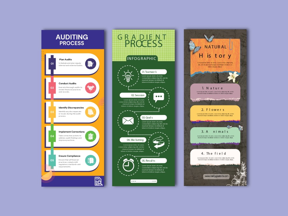 Professional infographic design | Custom infographic | Data ...