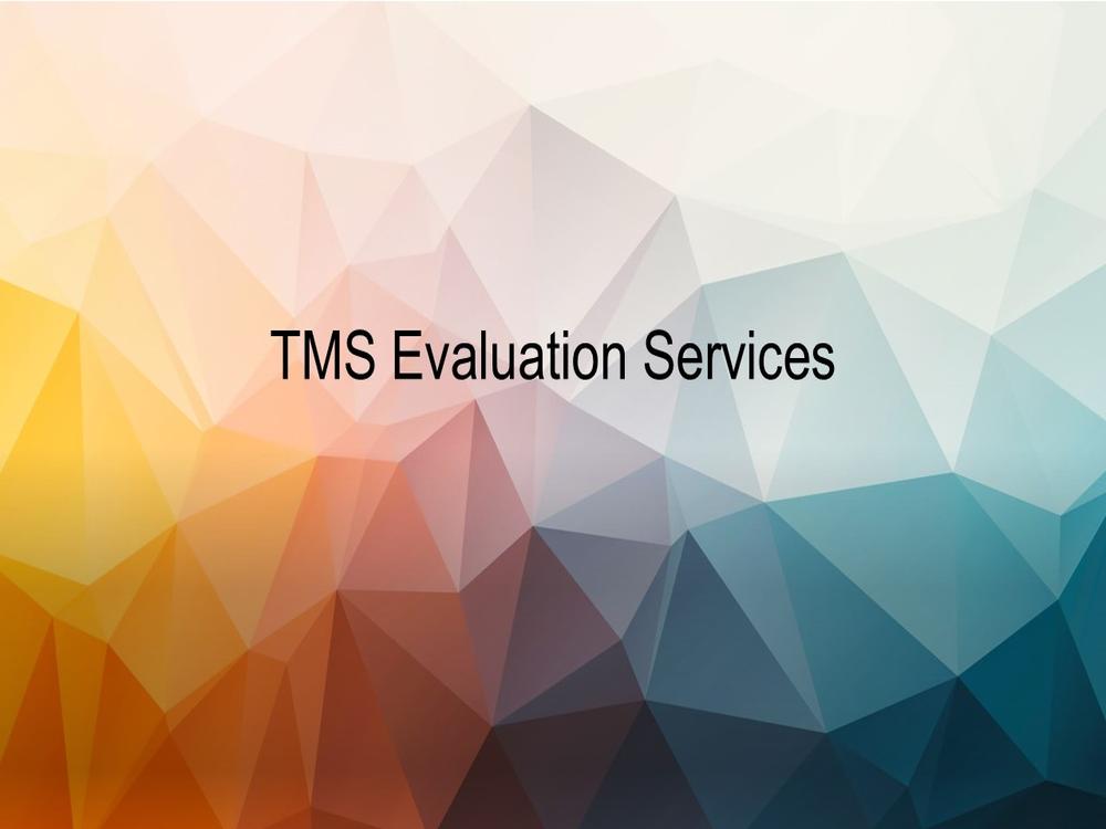 TMS Evaluation: First-Time, Optimization, or Migrations | Upwork