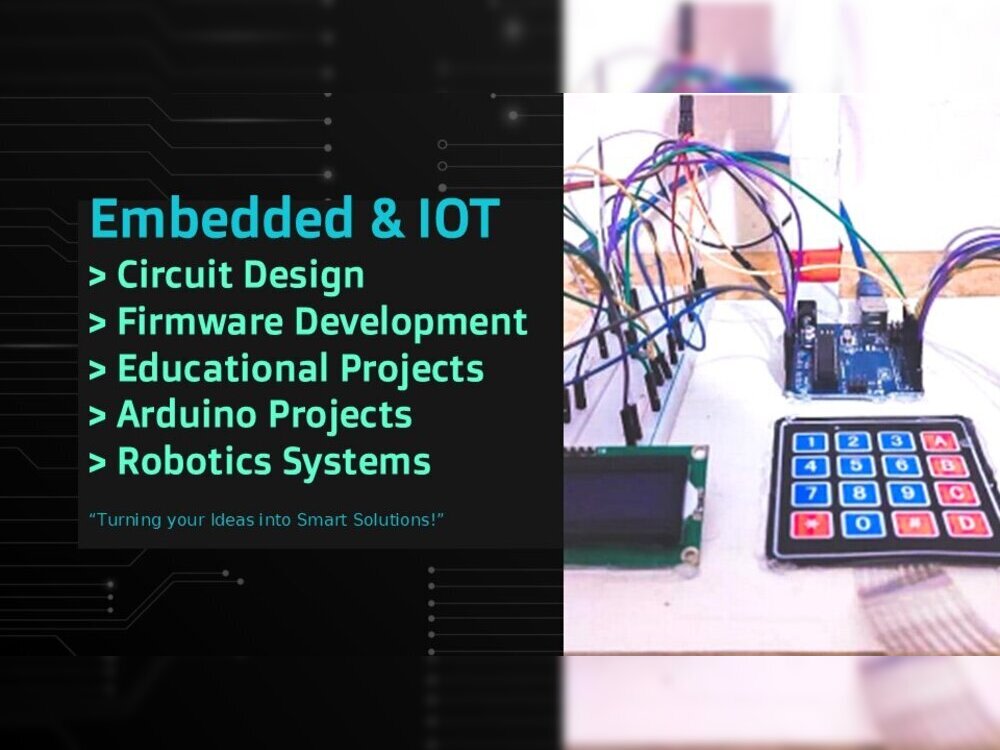 A Professional Embedded System Iot System Raspberry Pi Arduino Project Upwork