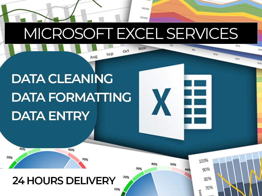 Excel Data Cleaning and Formatting Data in 24 Hours | Upwork