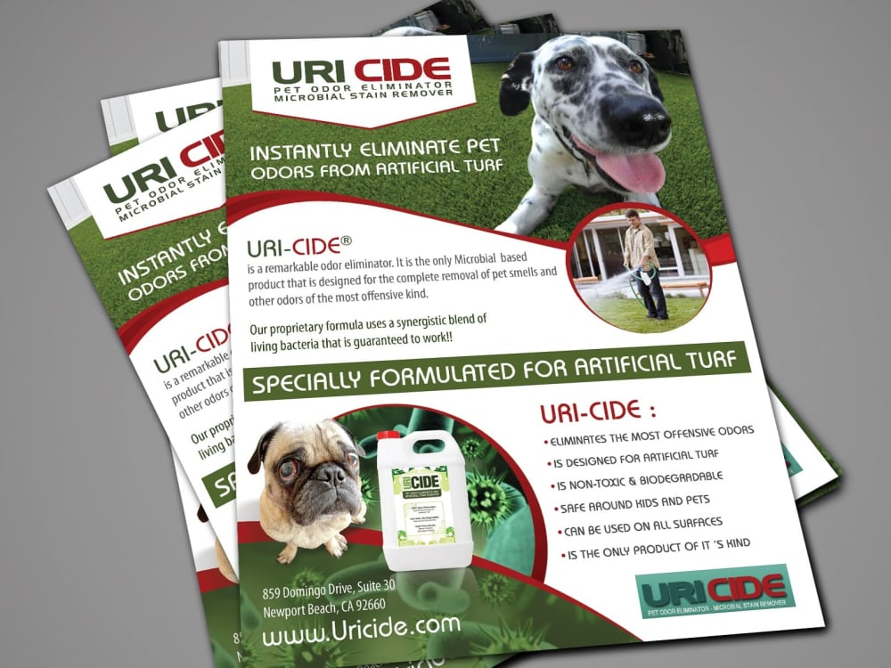 Modern digital & print magazine design in InDesign | Upwork