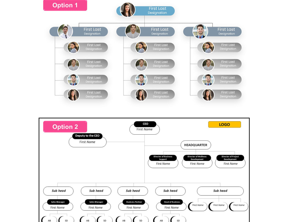 Professional Organizational Chart | Hierarchy | Flowchart |Department ...