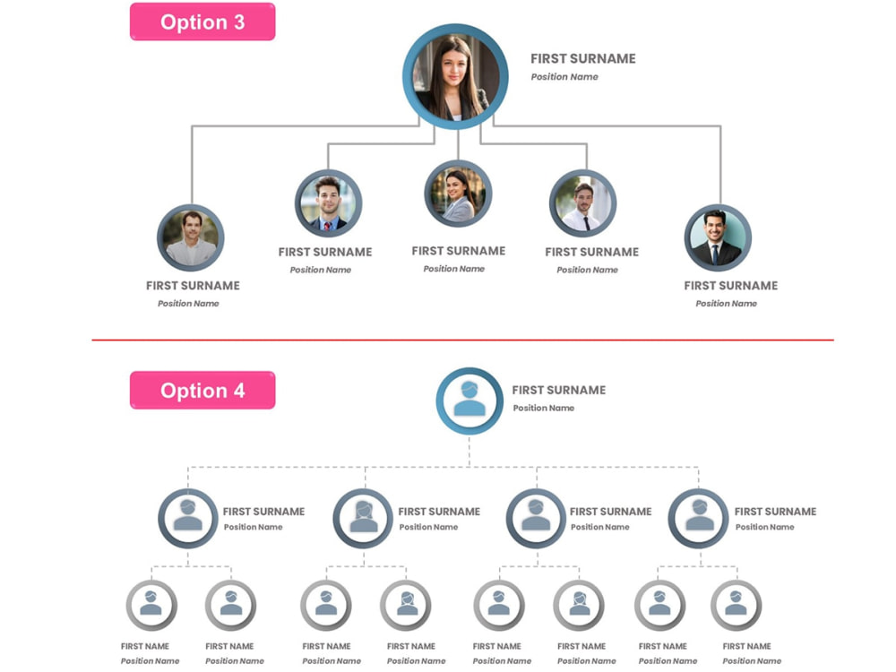 Professional Organizational Chart | Hierarchy | Flowchart |Department ...