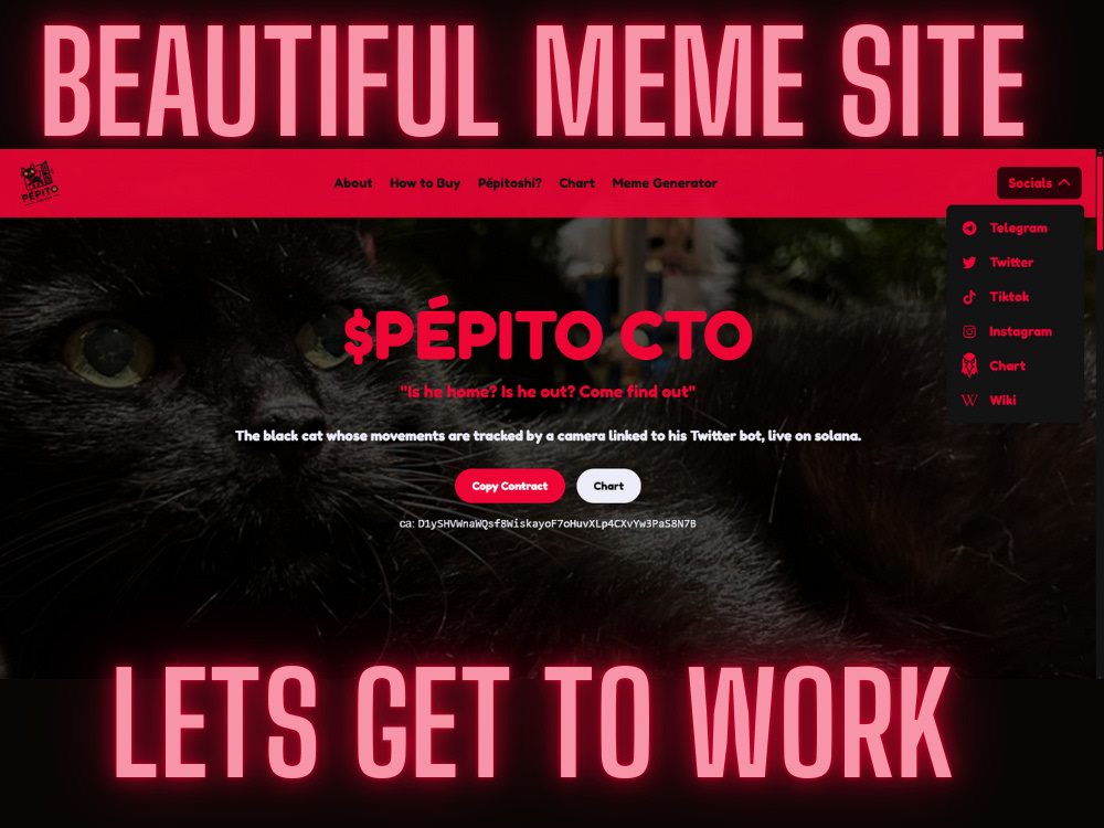 A beautiful, impactful meme-token website | Upwork