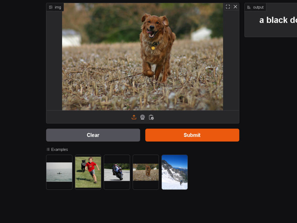 Image Captioning System with Interface | Upwork