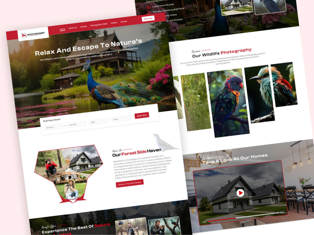 Custom Landing Page Design for Increased Conversions | Upwork