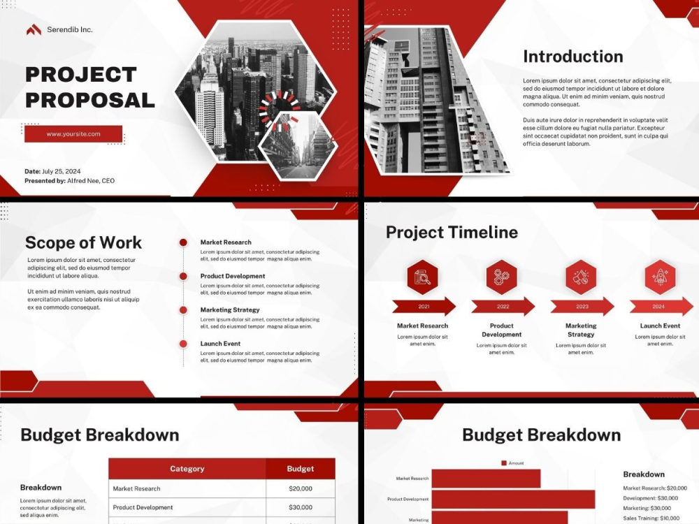 Professional Infographic, Business Infographic, Process Infographic ...