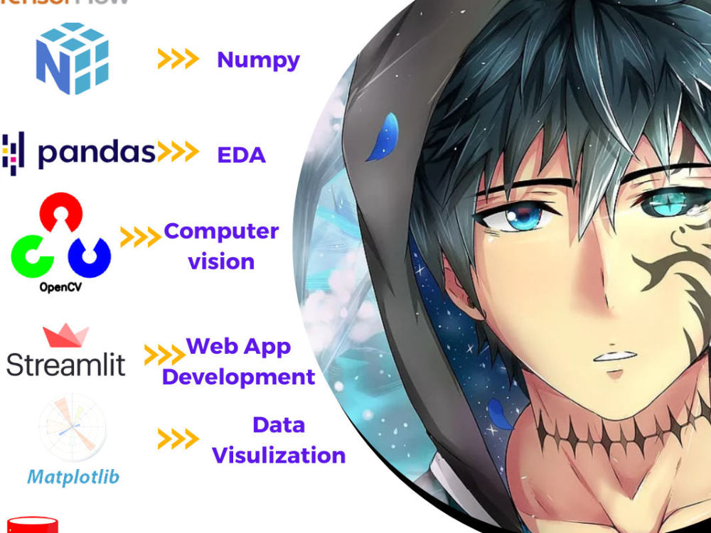 A best Data Scientist in python, Data visualization, WebApp Development | Upwork