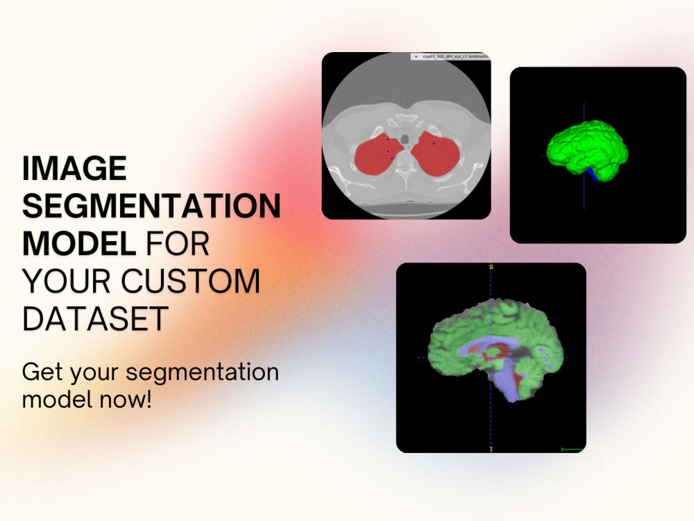 An image segmentation pipeline trained on your custom dataset | Upwork