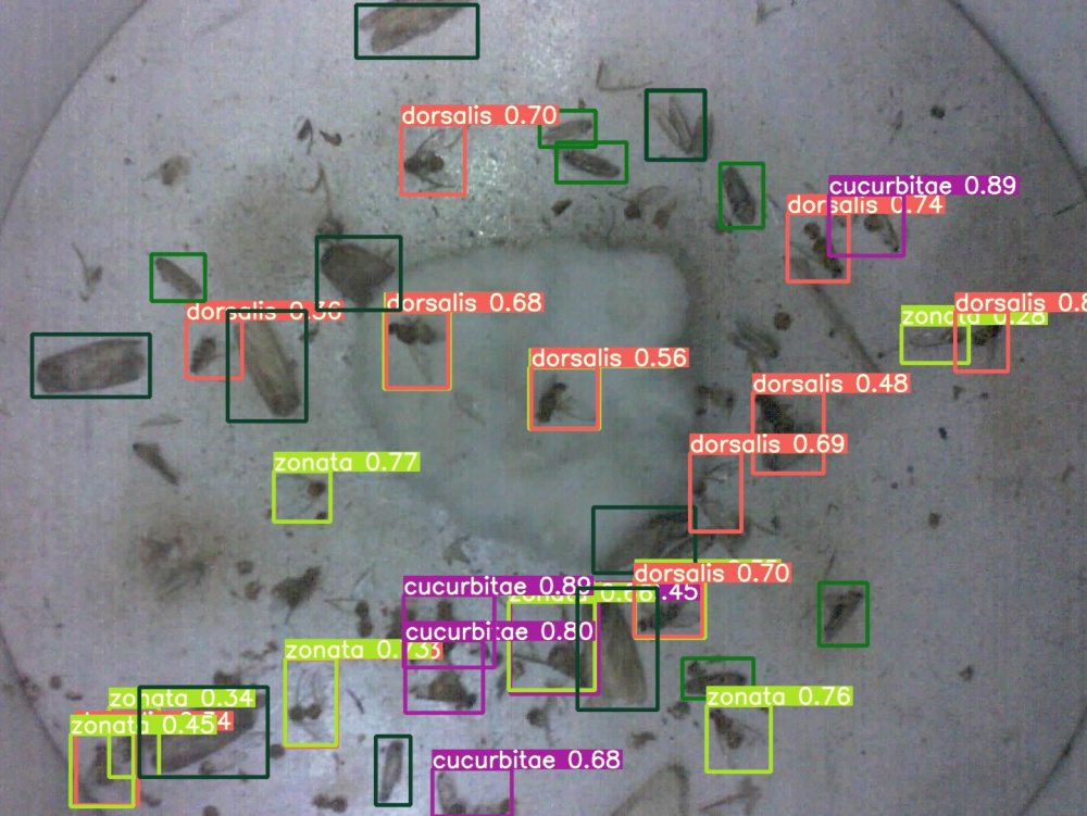 A high precision object detection or classification model on your ...