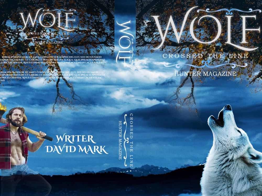 A fantastic high quality book cover design | Upwork