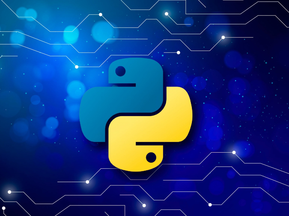 A working python script | Upwork