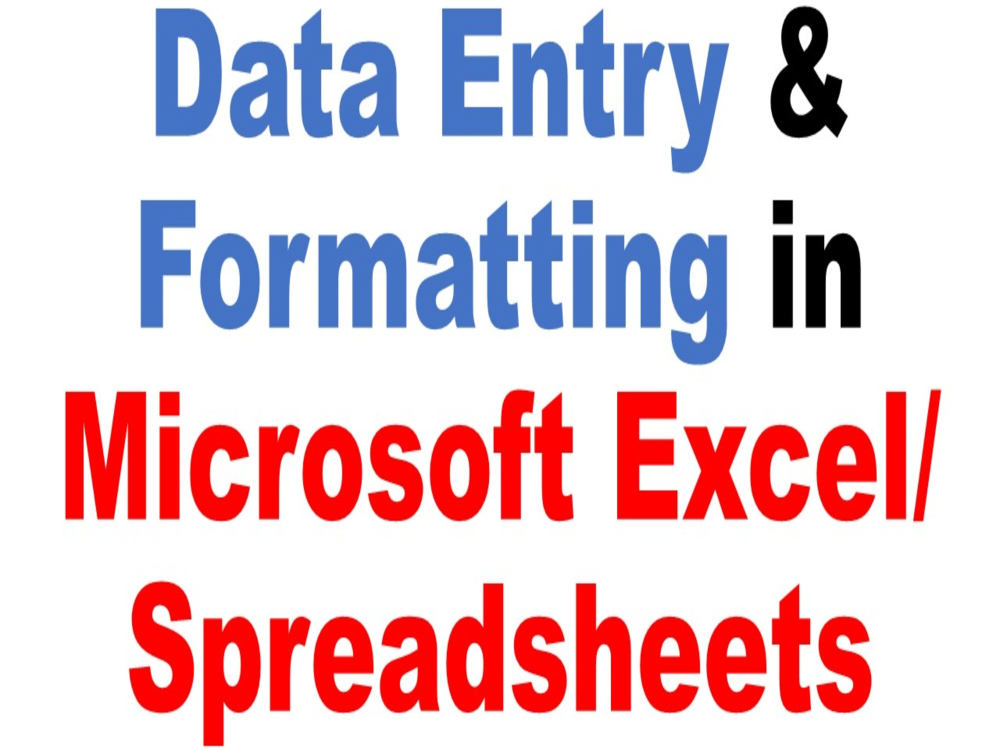 Accurate Data Entry and Advanced Formatting in Excel/Spreadsheets | Upwork