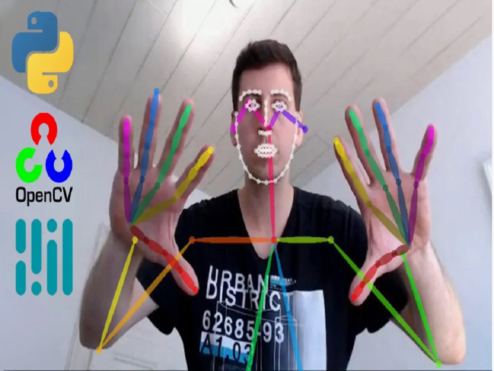 Vtuber like face body track mediapipe ,opencv ,arkit | Upwork