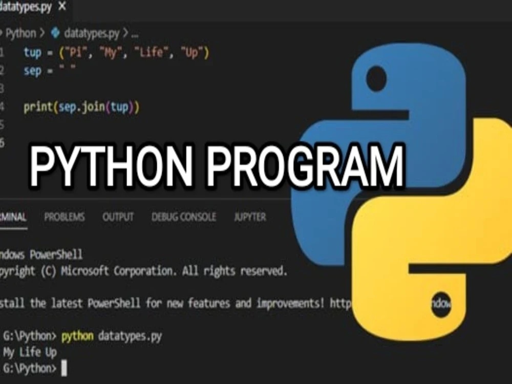 Building python/django projects, scripts, cleaning and improving code | Upwork
