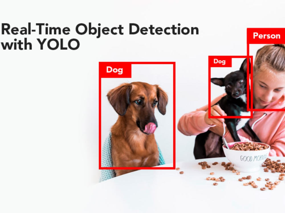 Data Annotation , Object Detection and Tracking with YOLO | Upwork