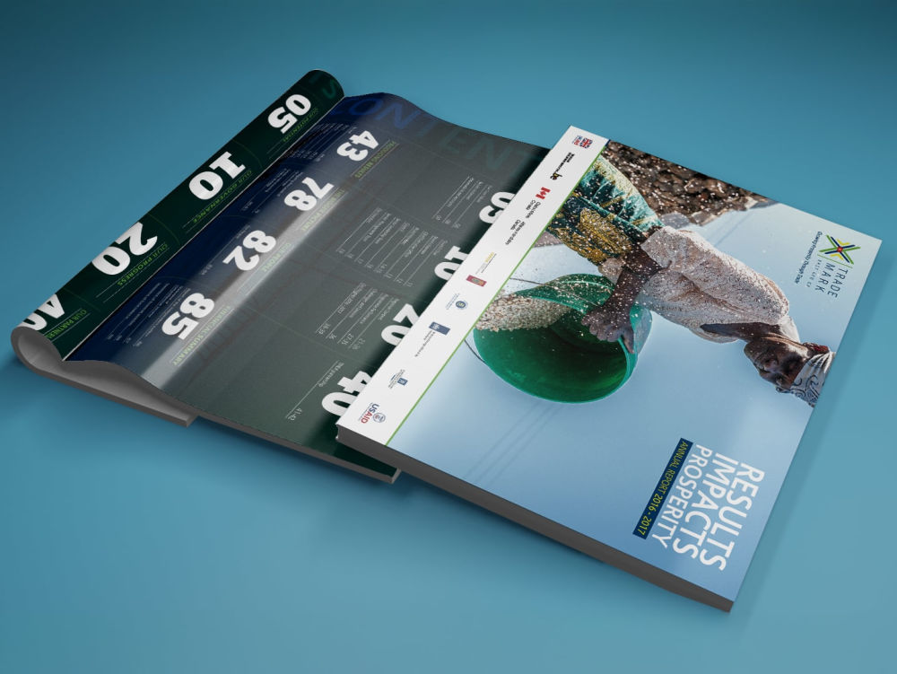 Clean and modern editorial design (Report, Catalogue, Book, Magazines ...
