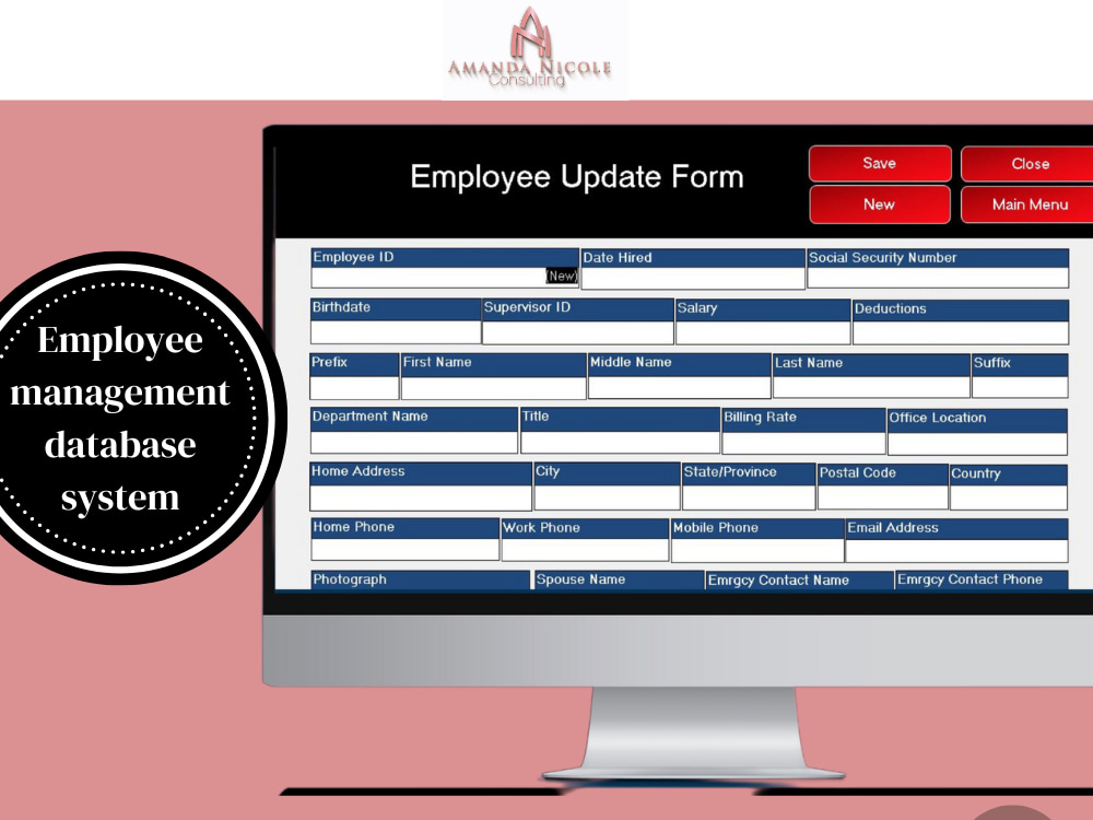 A Tailored Enterprise-Grade Microsoft Access Database Solution | Upwork