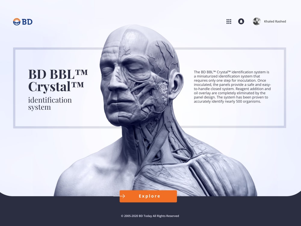 A High-fidelity UI and UX screens | Upwork