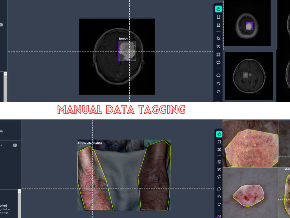 Professional Dataset Annotation For Segmentation And Object Detection Upwork