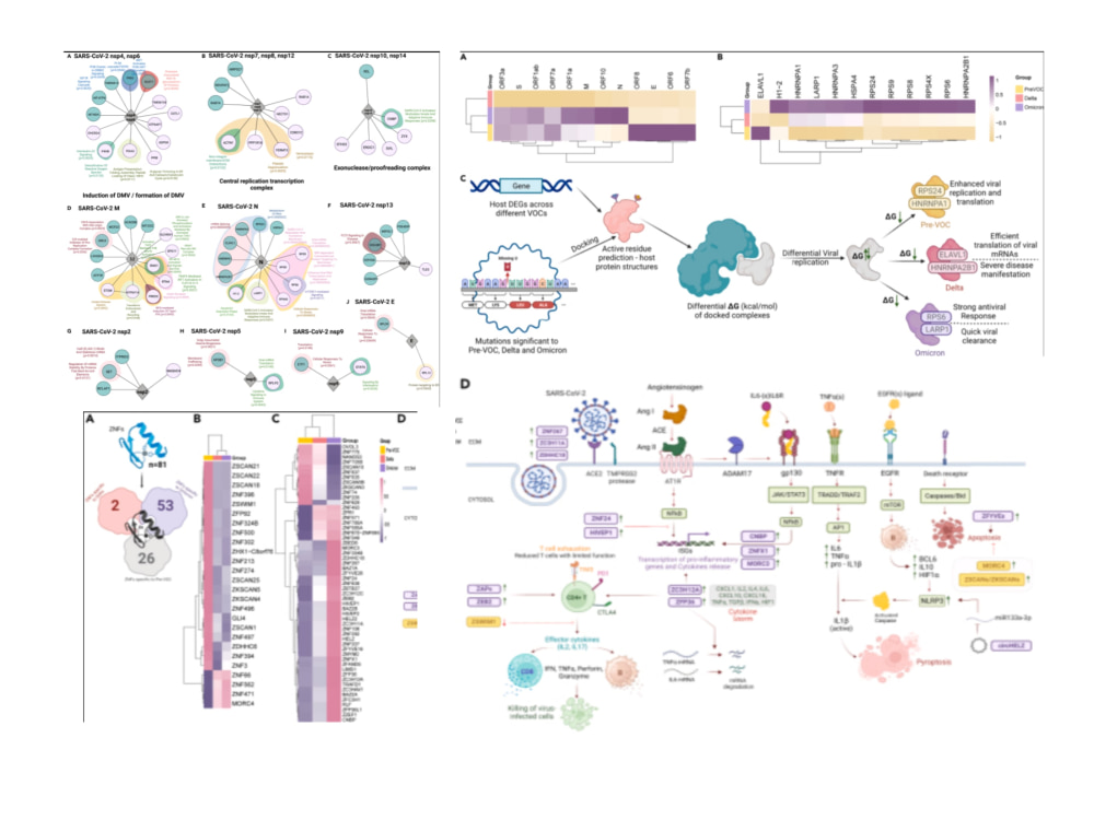 Bioinformatics, (bulk/single-cell) WGS/RNA-seq/WES/clinical data ...