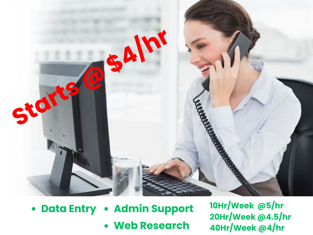 Virtual assistant, product listing, data entry, cleaning for 5-40 hours ...
