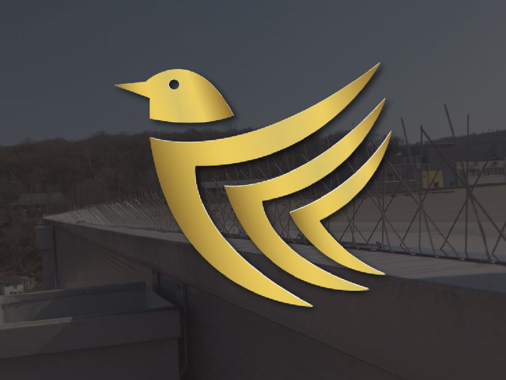 A Memorable Logo That Reflects Your Identity | Upwork