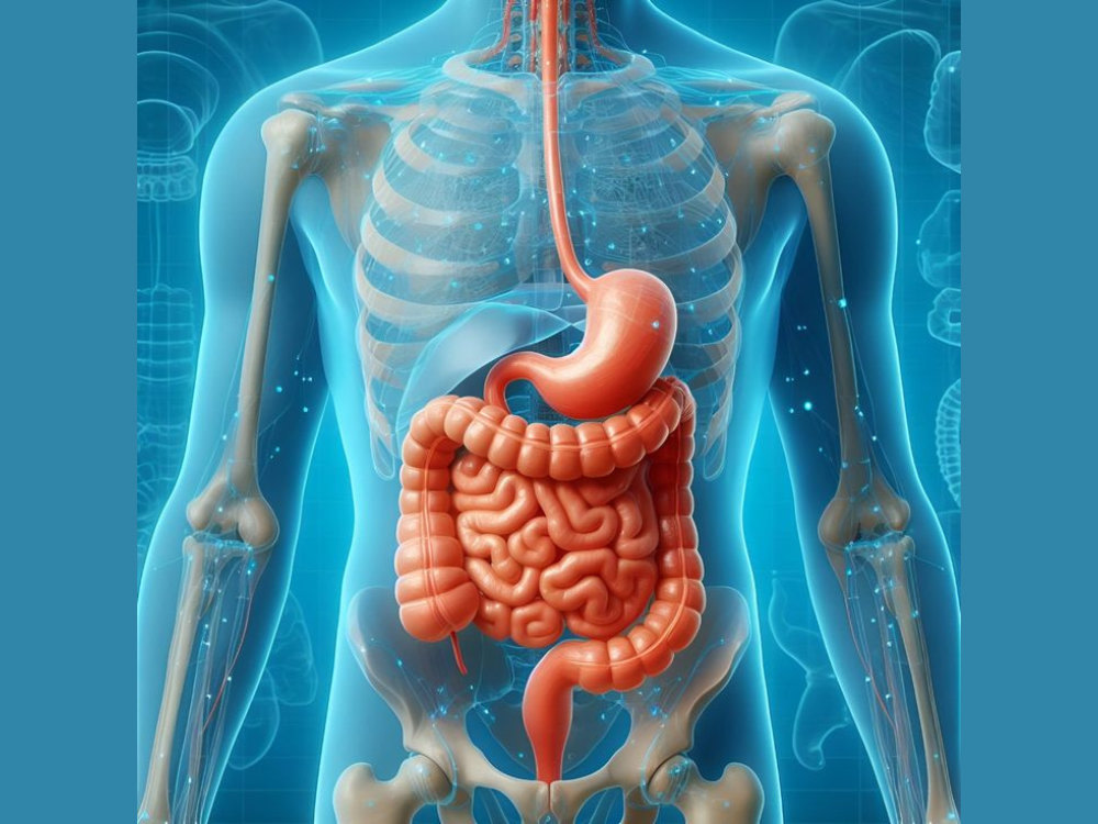 3d medical animation video, 3d surgery animation, 3d anatomy animation ...