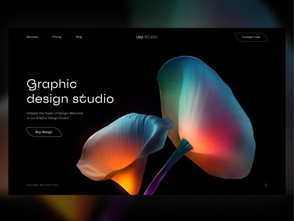 Professional Hero Section | Home Screen Design | Upwork