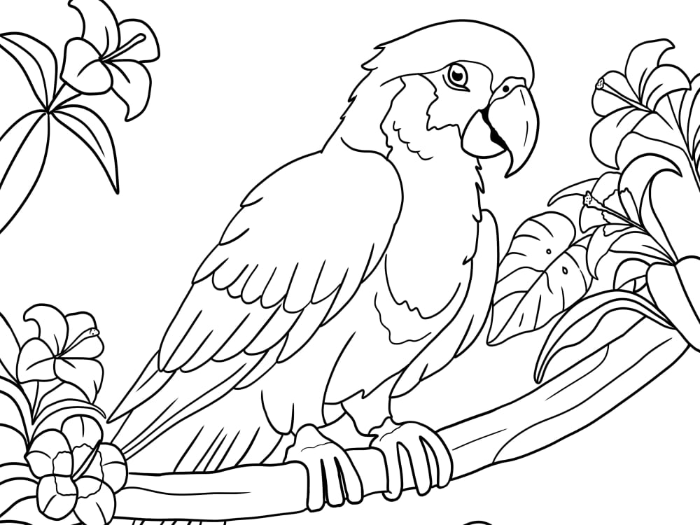 Wonderful line illustrations and games for your coloring book, | Upwork